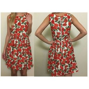 Anthropologie | Dresses | Anthro Sunday In Brooklyn Rose Floral Dress ...